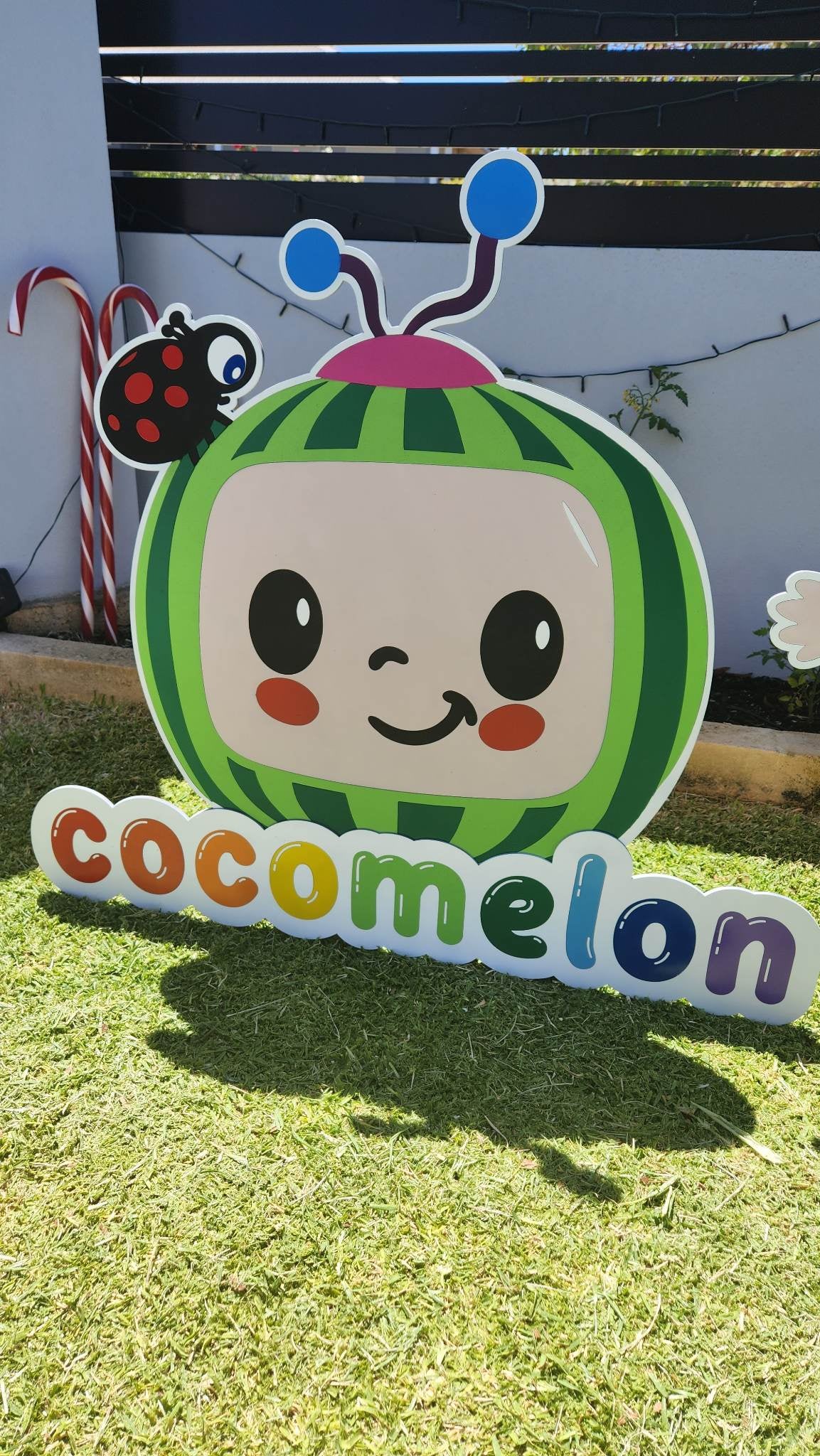 CoComelon Standee | The Laser Shark Shop